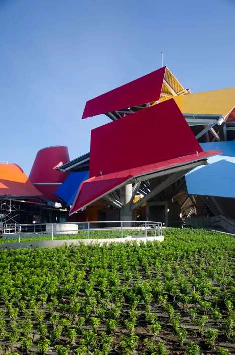 Biomuseo ሕንፃ በፍራንክ Gehry