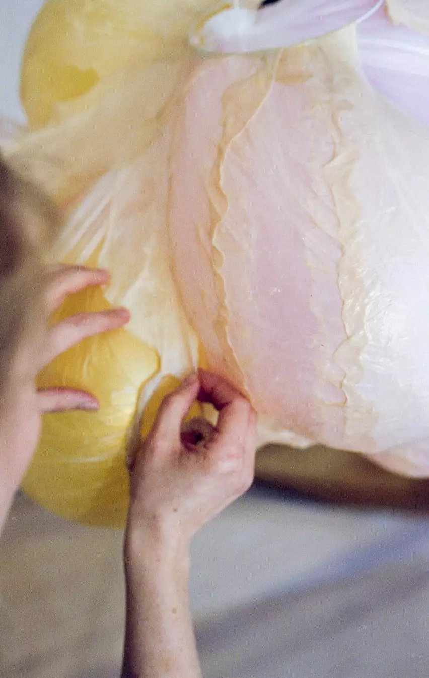 Kathrine Barbro Bendixen usa intestinos de vaca para iluminar
