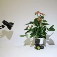 Investigadores del MIT diseñan plantas cyborg para seguimiento de movimiento y envío de notificaciones 11300_2