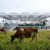 Kelluva maatila Rotterdamissa
