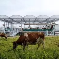 Pływająca farma w Rotterdamie