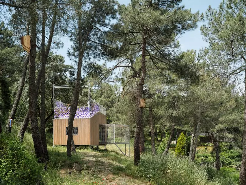 Timber cabin los ntawm Husos Architects