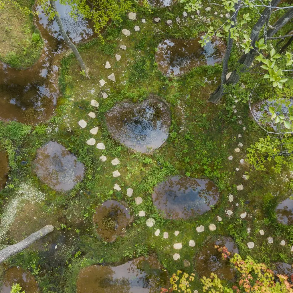 Art Biotop Water Garden van Junya Ishigami wint Obel Award van € 100.000