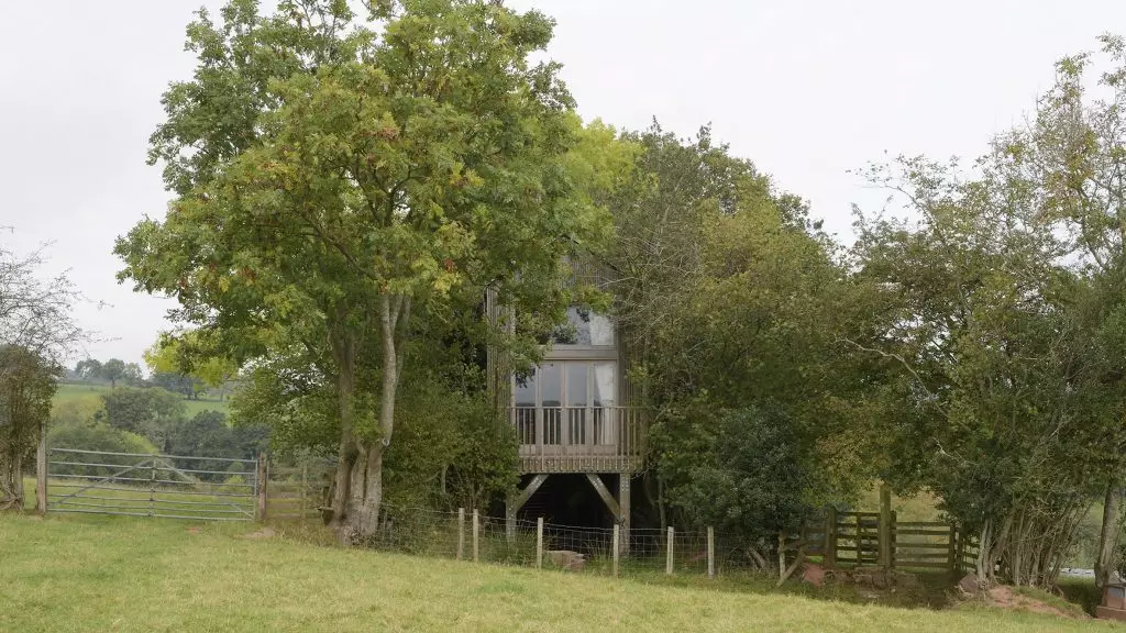 Akin Studio သည် အင်္ဂလိပ်လယ်ယာရှိ stilts များပေါ်တွင် Drovers' Bough cabin ကို မြှင့်တင်ထားသည်။