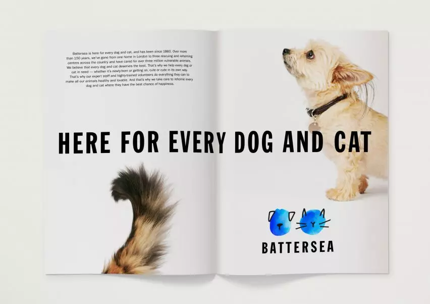 Pentagram dissenya un canvi de marca per a Battersea Dogs & Cats Home 16926_1