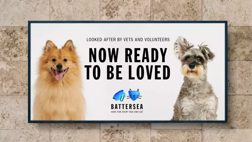 Pentagram dissenya un canvi de marca per a Battersea Dogs & Cats Home 16926_6