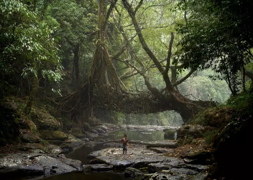 Gambar seorang budak lelaki berjalan melalui hutan sebagai sebahagian daripada penyelidikan Julia Watson terhadap teknologi seni bina asli