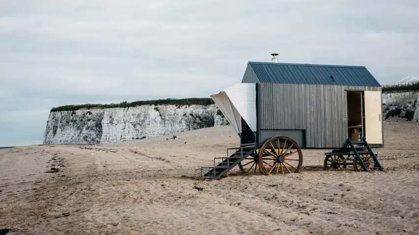 Magna tal-għawm Victoria minn Haeckels