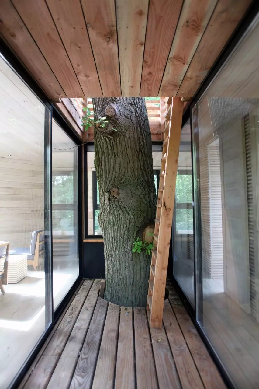 Origin tree house troch Atelier Lavit