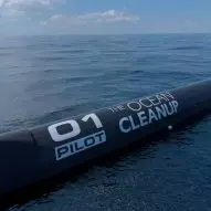Чистење на океанот