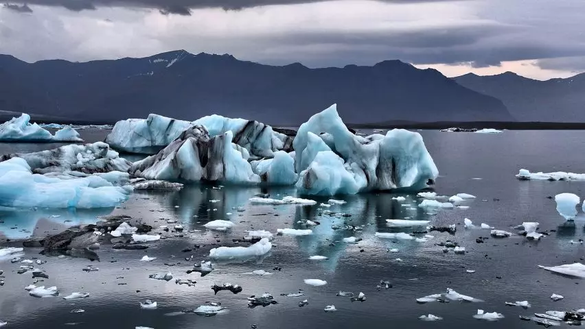 Práticas de arquitetura do Reino Unido declaram emergência climática e de biodiversidade