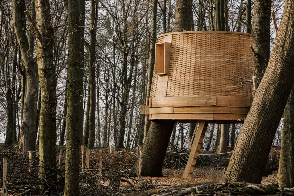 De Sebastian Cox baut Sylvascope Bamhaus fir Harewood Biennial