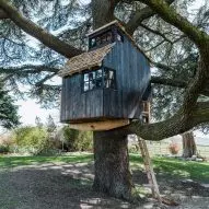 Treehouse a cikin Hertfordshire ta Sebastian Cox