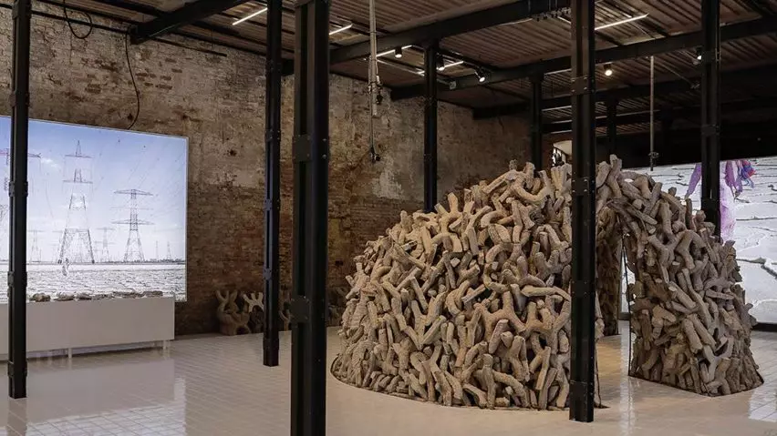 Il padiglione degli Emirati Arabi Uniti alla Biennale di Architettura di Venezia ha vinto il Leone d'Oro