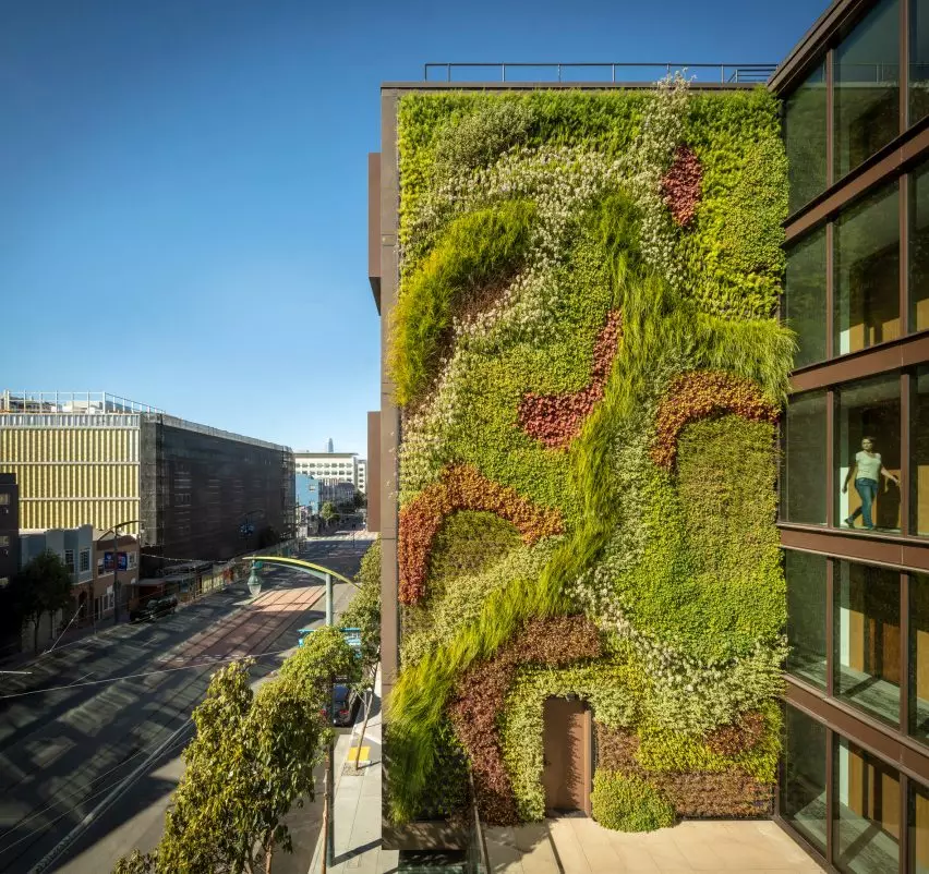 Living wall of 2177 Third Street