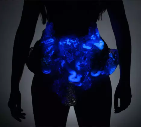 Neri Oxman's photosynthetic wearable