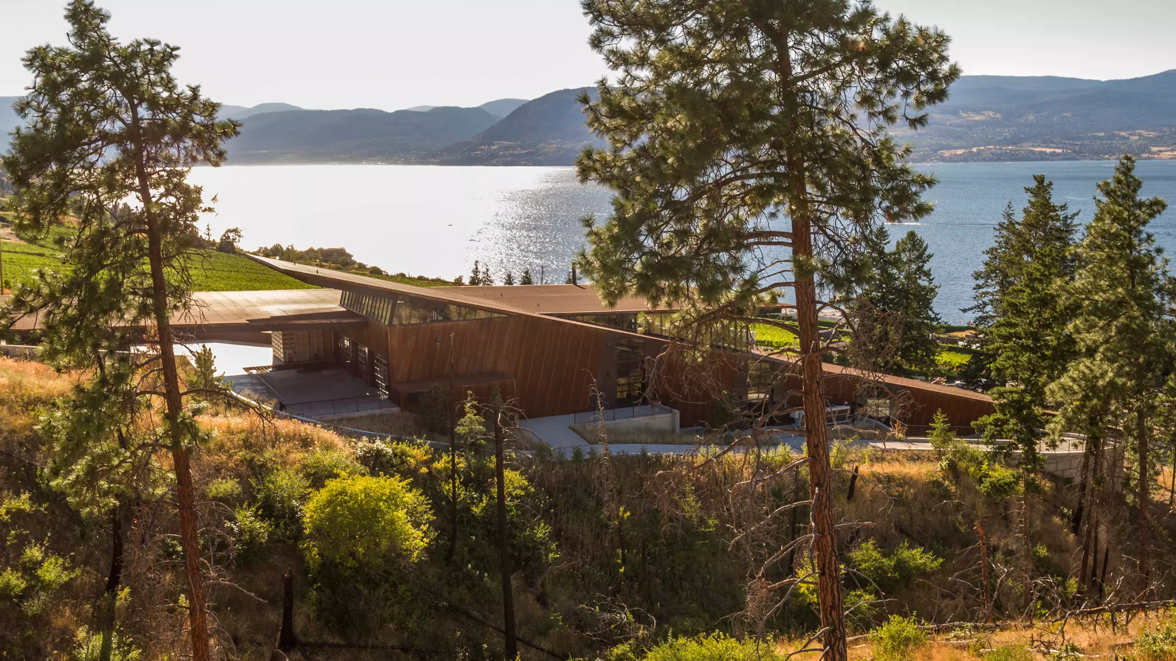 Olson Kundig membenamkan kilang wain aliran graviti ke lereng bukit British Columbia