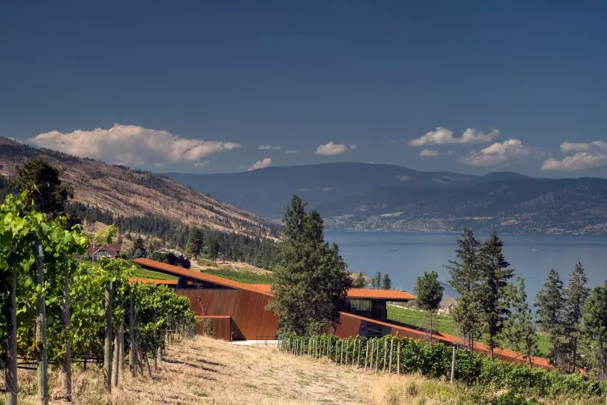 Olson Kundig Architects ұсынған Martin's Lane шарап зауыты