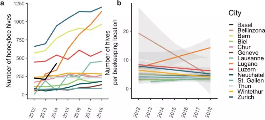 Графіки, що показують кількість вуликів і вуликів для бджільництва в 14 містах Швейцарії