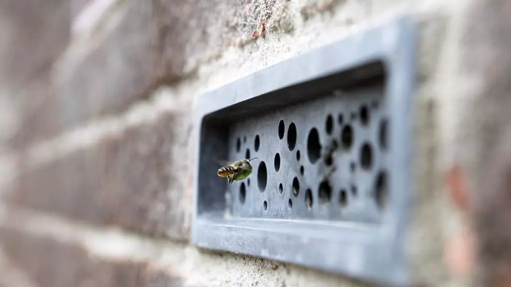 Ang mga bee brick ay naging kinakailangan sa pagpaplano para sa mga bagong gusali sa Brighton