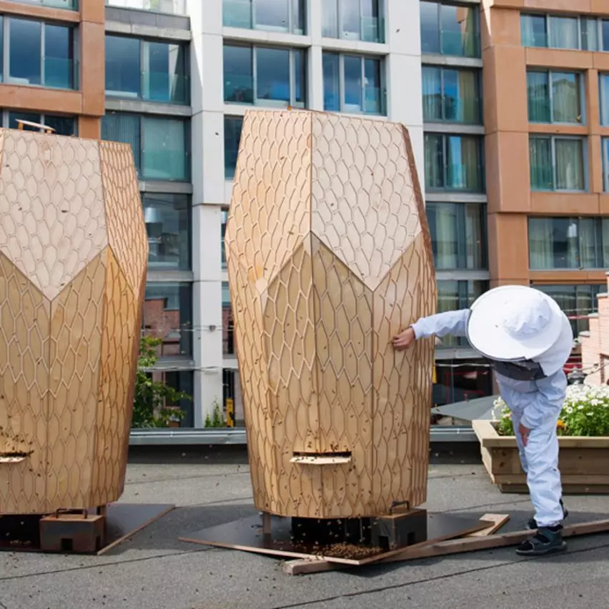 Sieben städtische Zufluchtsorte für Bienen, die in Städten leben