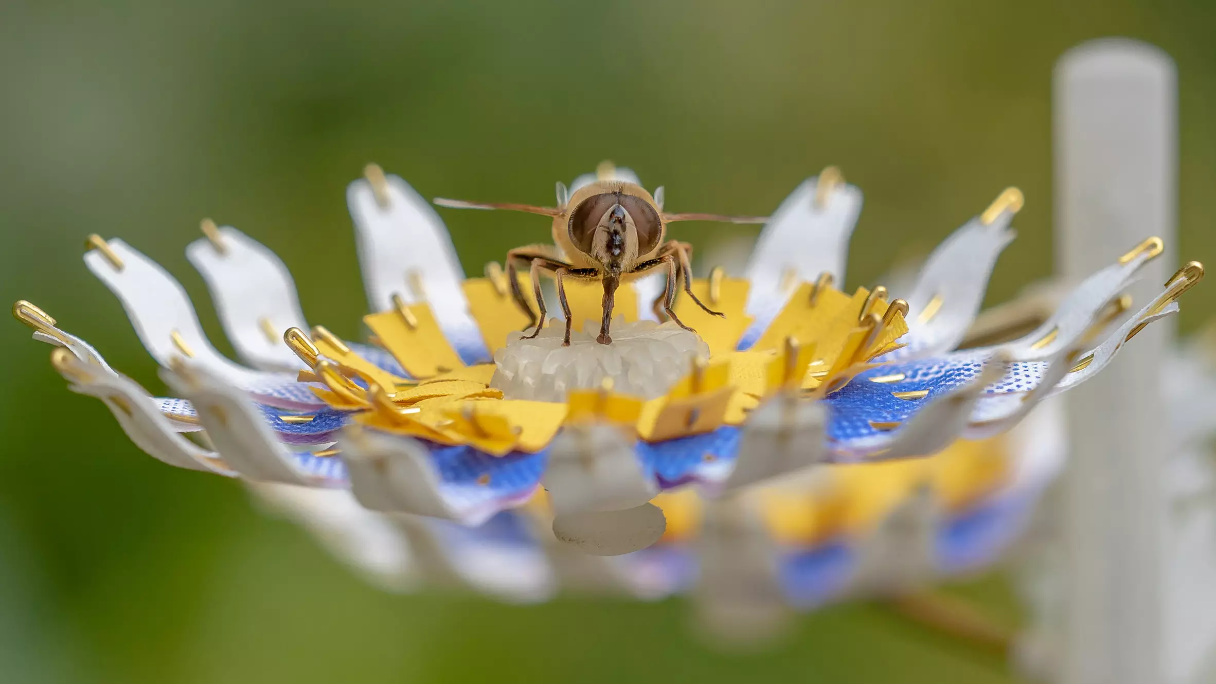 Matilde Boelhouwer conçoit des fleurs artificielles pour nourrir les insectes urbains