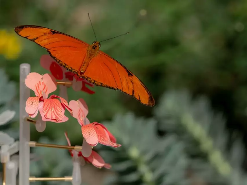 अटेलियर बोएलहॉवर शहरी कीटकांना वाढण्यास मदत करण्यासाठी कृत्रिम फुलांची रचना करते