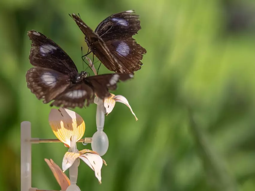 Atelier Boelhouwer ontwerp kunsmatige blomme om stedelike insekte te help floreer