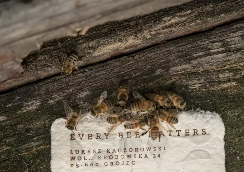 Bee-saving papier