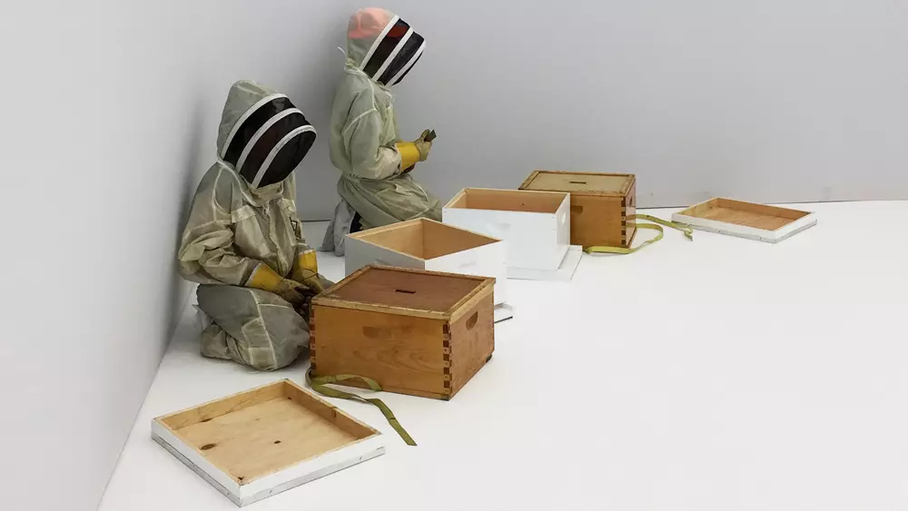 Synthetic Apiary මී මැස්සන්ට වසර පුරා වසන්තය භුක්ති විඳීමට ඉඩ සලසයි