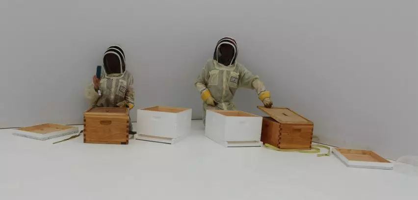 Sintetikong apiary ng Neri Oxman