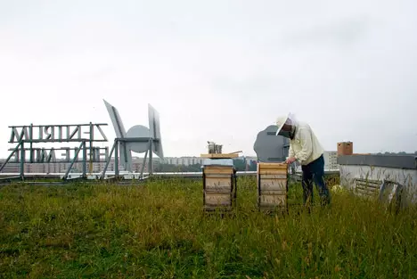 Apiarium mehiläispesä, kirjoittanut Bettina Madita Bohm