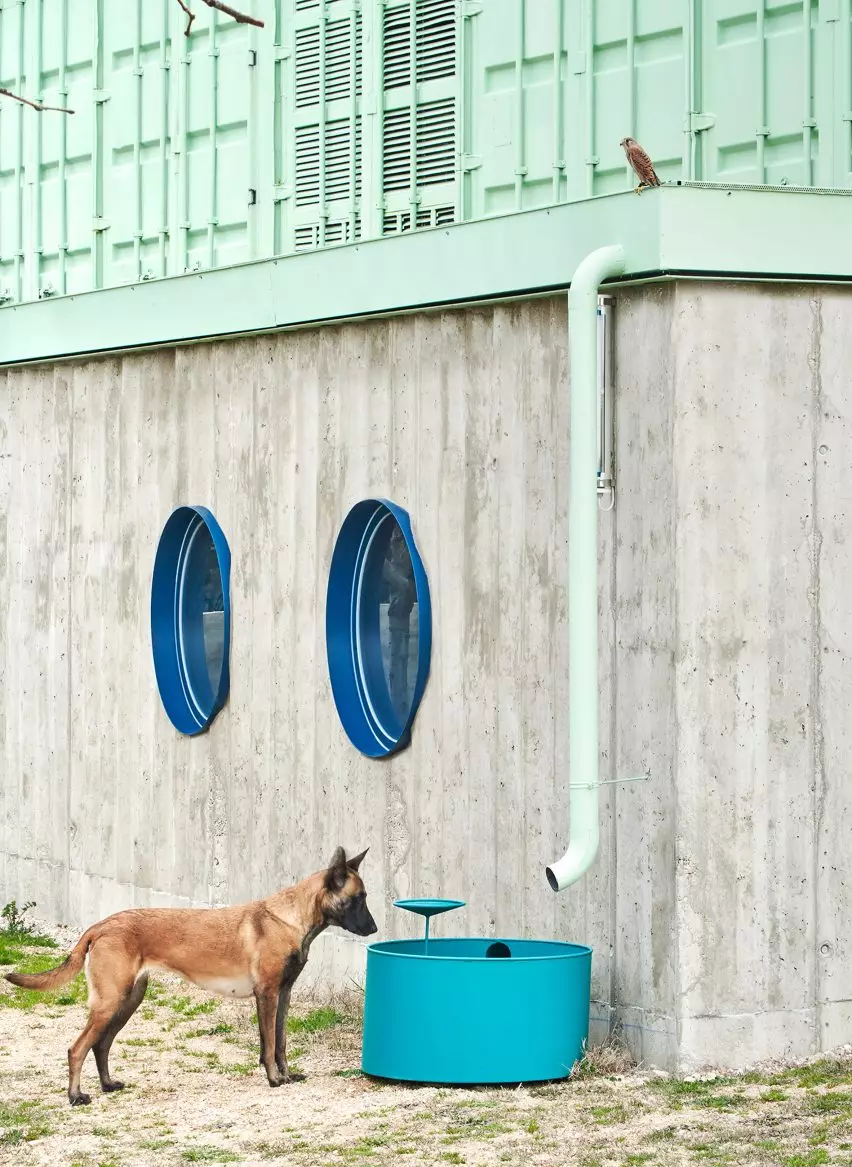 Palung air di sekolah Educan untuk anjing, manusia dan spesies lain