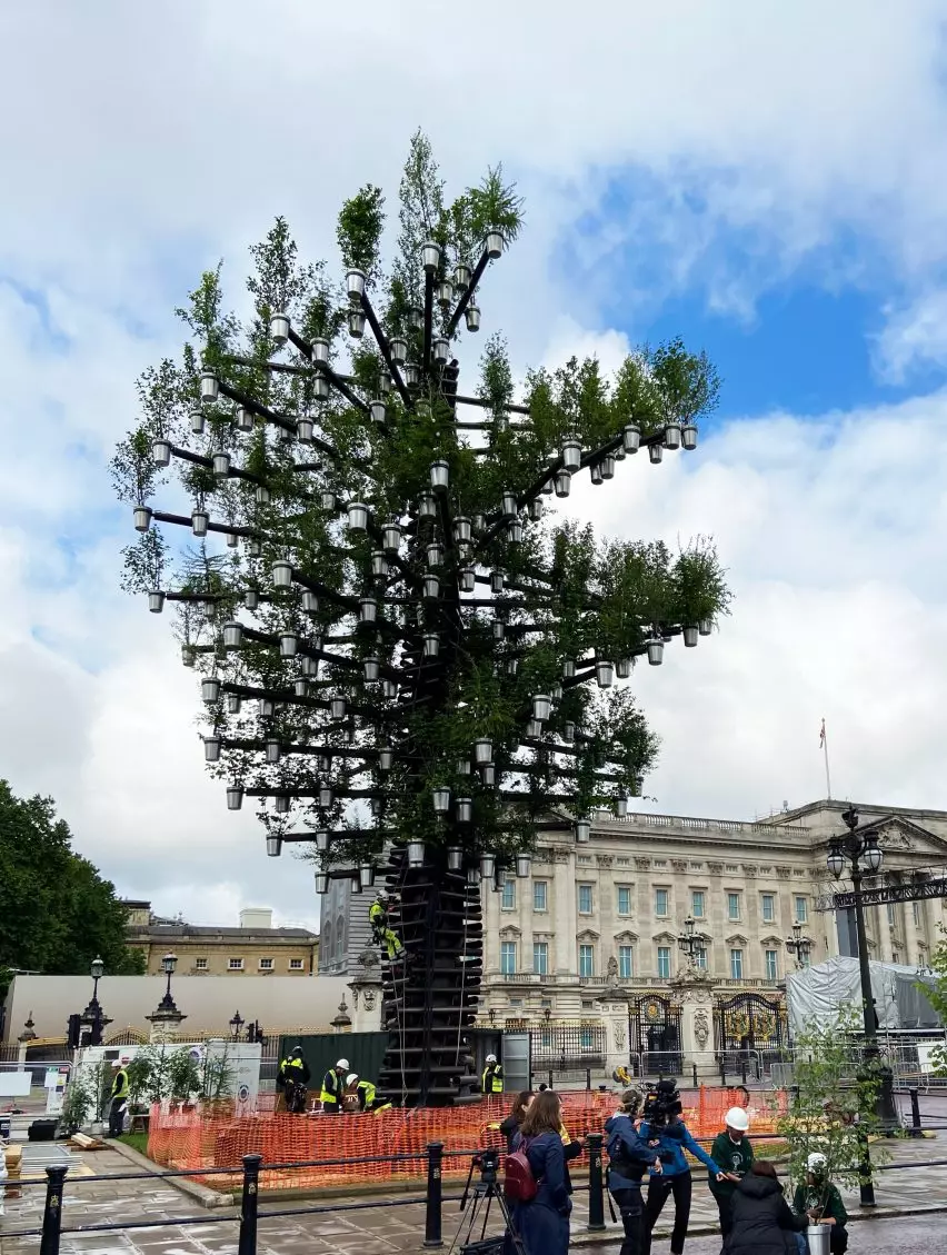 Heatherwick fák fája a Buckingham-palotában