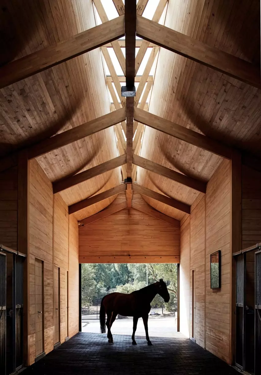 Elongated skylight illuminates Chilean ruaj khov los ntawm Matias Zegers Architects 31911_1