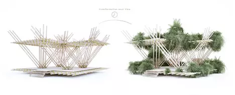 Rising Canes bamboe paviljoen door Penda voor Beijing Design Week 2015