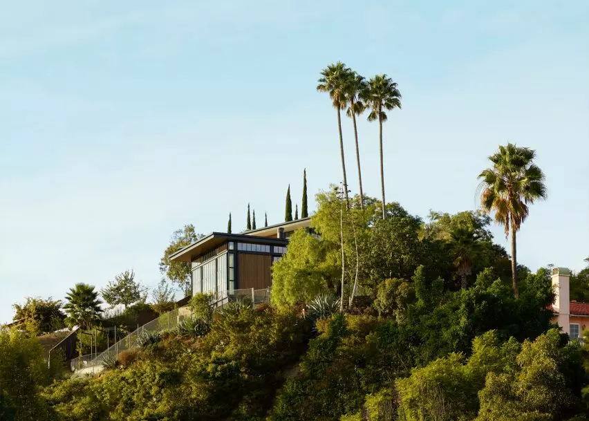 Hollywood Hills de Mutuus Studio