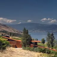 Martin's Lane Winery דורך Olson Kundig Architects