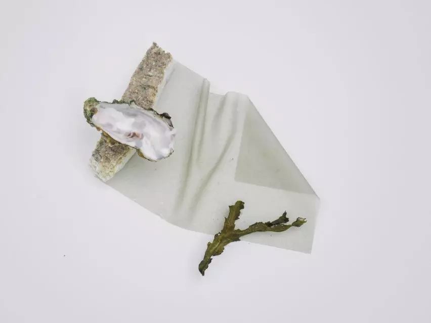 Oyster shell at seaweed textile