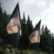 Peter Pichler'den ağaç evler
