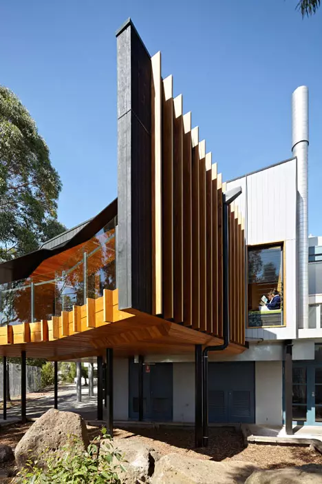Træklædt skolebibliotek udvidet ind i trætoppene af Branch Studio Architects