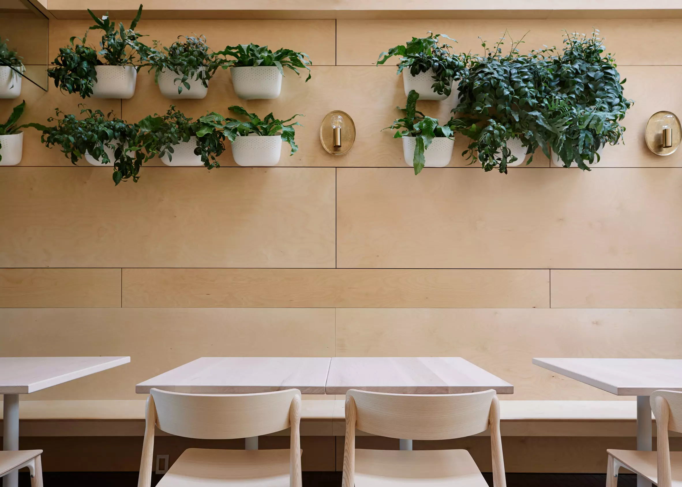 Omar Gandhi ilumina o restaurante Lady Marmalade em Toronto com clarabóias e madeira báltica