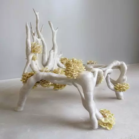 Mycelium Chair nataon'i Eric Klarenbeek