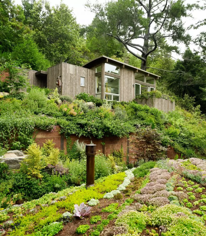 Mill Valley Cabins door Feldman Architecture