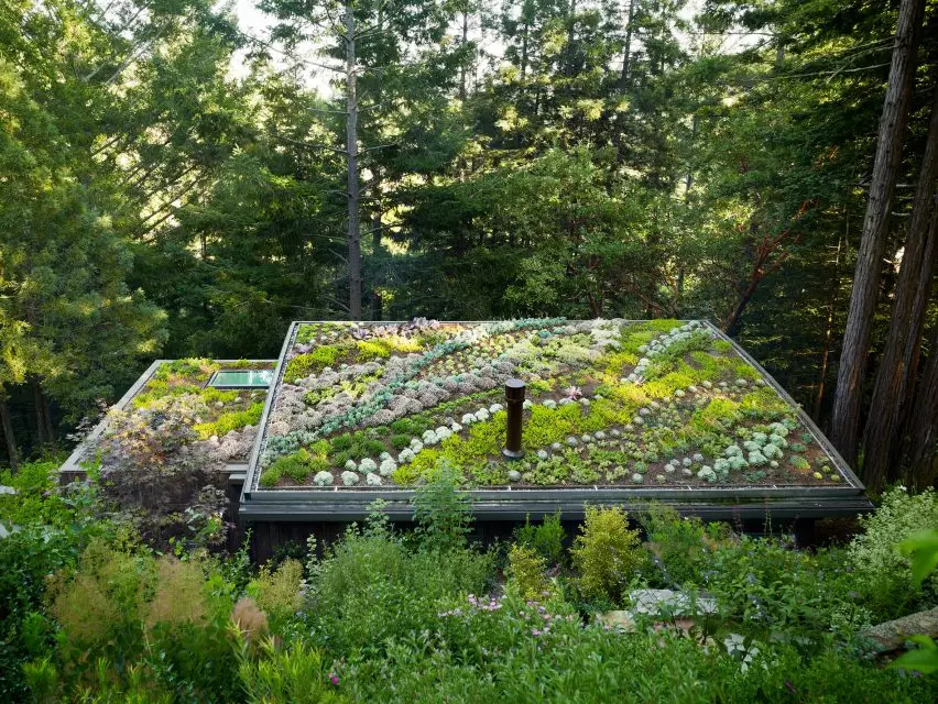 Mill Valley Cabins vun Feldman Architecture