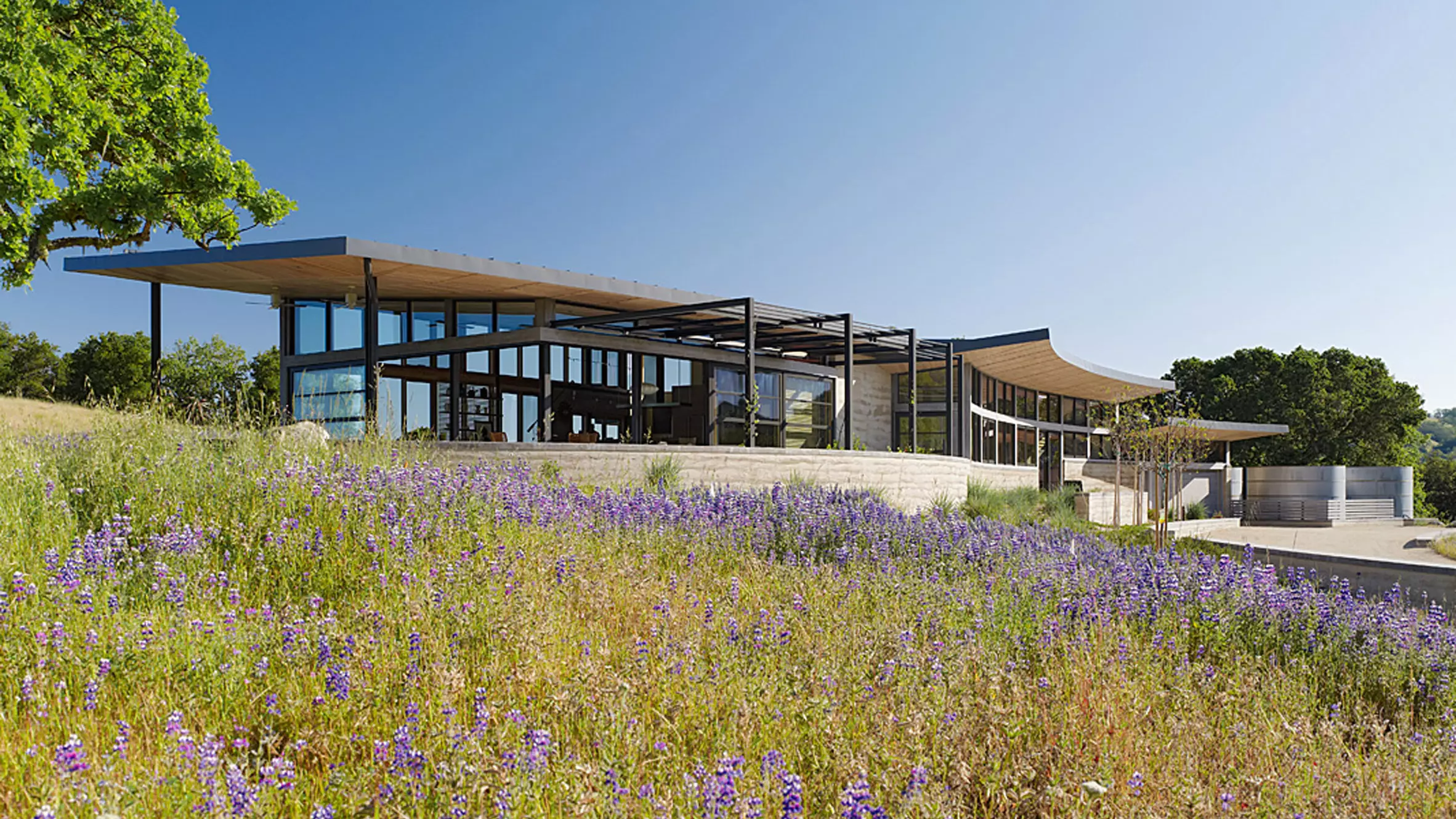 Caterpillar House ta Feldman Architecture iskõki a cikin California ƙasa