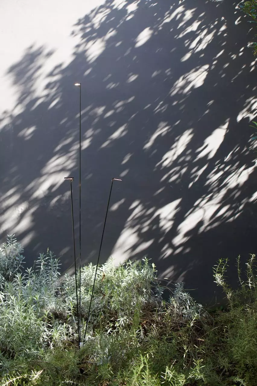 Luz Flia de três cabeças em um ambiente externo