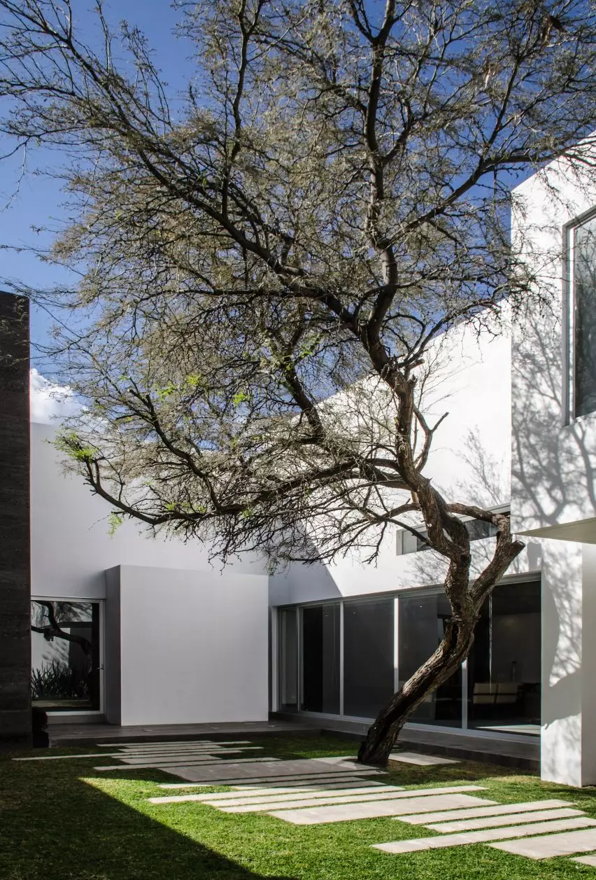 BAG Arquitectura യുടെ Casa Mezquite
