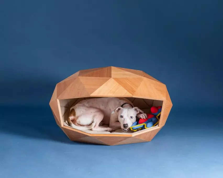 „Dome-Home“ šunų veislyne besiilsinčio šuns vaizdas