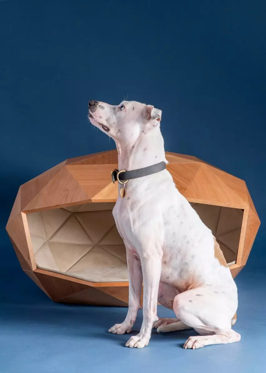 Um cão é retratado sentado fora do canil em forma de cúpula